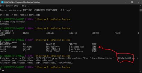 Coding の Orz Docker 環境安裝 Redis 到外網訪問