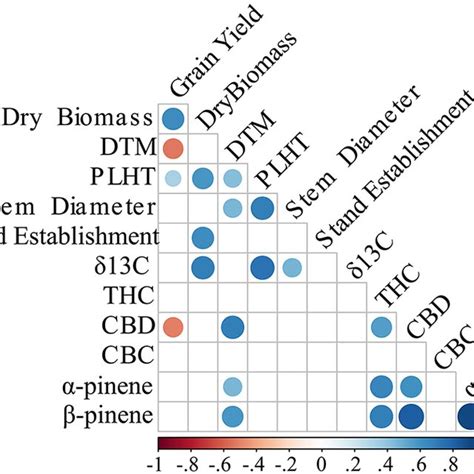 Trait Correlation Heat Map Only Statistically Significant Correlations