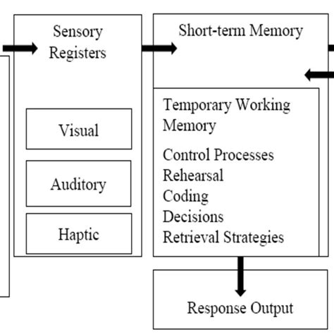 PDF Correlation Between Working Memory Intelligence And Cognitive Functions