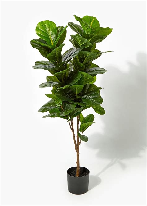 Fiddle Leaf Fig Silk Tree