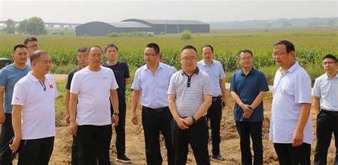 屯留区委副书记区长张俊杰调研督导耕地保护工作 山西新闻网
