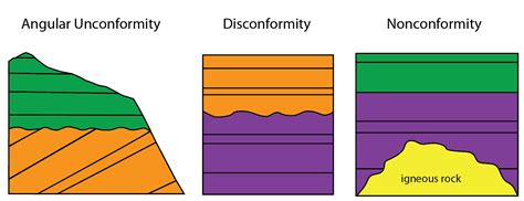 Principle Of Faunal Succession