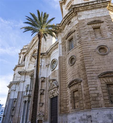 Mercato Di Cadice Facciamo Un Giro Insieme