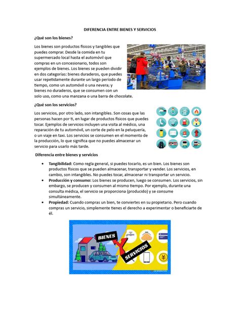 Diferencia Entre Bienes Y Servicios Pdf