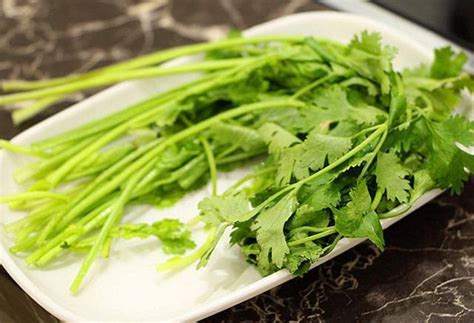 吃不完的香菜只知道放冰箱？老菜农教你1招，放一冬天也新鲜塑料香菜菜农新浪新闻