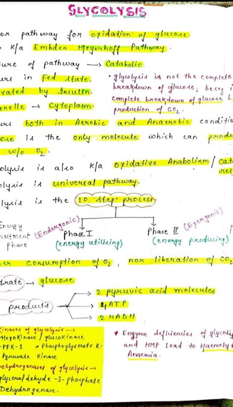 Spread Of Tumors Microbiology Mbbs Handwritten Notes