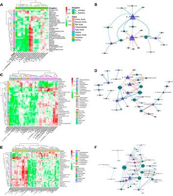 Frontiers Alterations Of The Gut Microbiome And Fecal Metabolome In