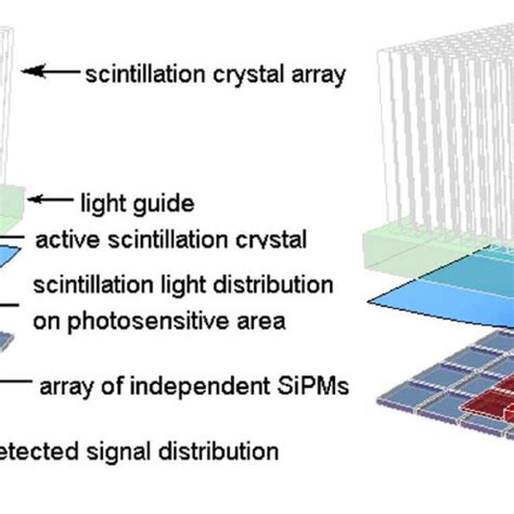 Schematic View Of The Crystal Array Together With Light Guide SiPM Download Scientific Diagram