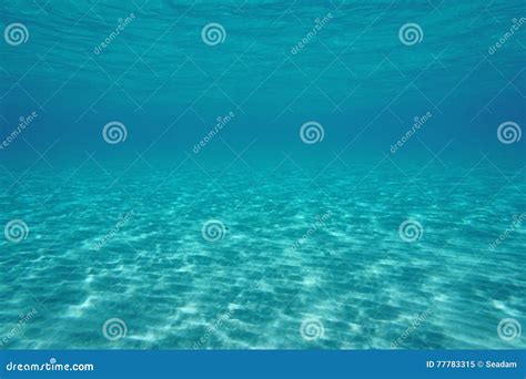 Fundo Do Mar Arenoso Raso Da Cena Subaquática Natural Imagem de Stock