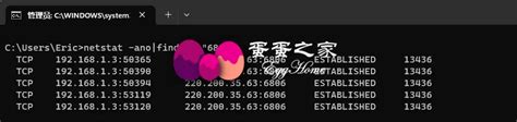 Windows 端口查询及杀死进程 蛋蛋之家