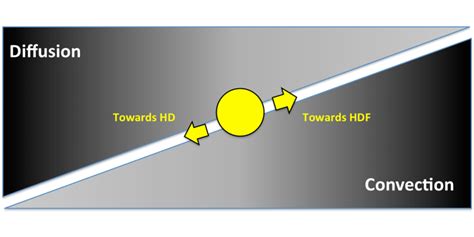 Home Dialysis Central Explaining Haemodiafiltration HDF