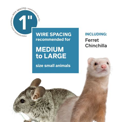 Ferret Color Chart