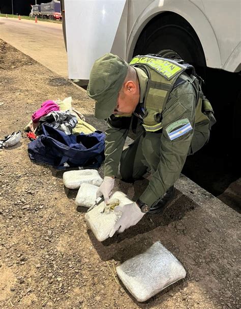 La perra antinarcóticos Olivia detectó marihuana en la bodega de un