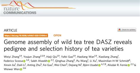 Nature Commun 华中农大发布首个古茶树基因组精细图谱，揭示我国茶树选育进程 知乎