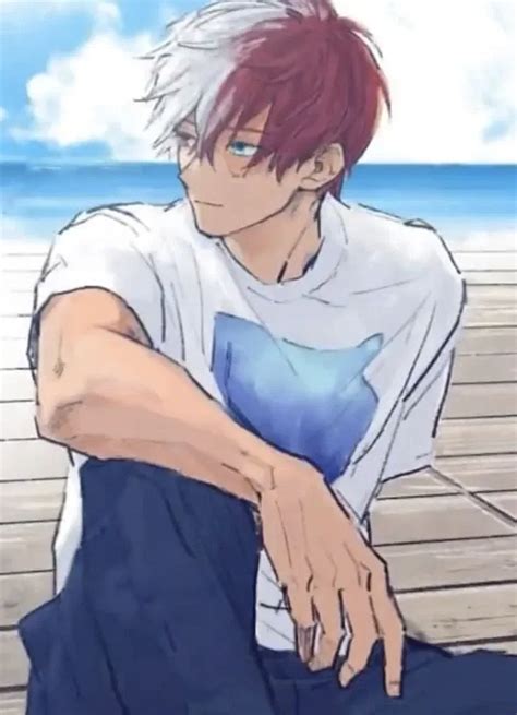 Character Shoto Todoroki