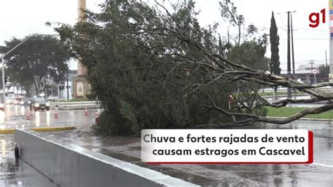 V Deo Chuva E Fortes Rajadas De Vento Causam Estragos Em Cascavel Oeste E Sudoeste G