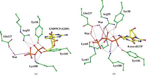 IUCr Plasticity Ligand Conformation And Enzyme Action Of