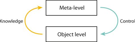 Metacognition Ideas And Insights From Neuro And Educational Sciences Pmc
