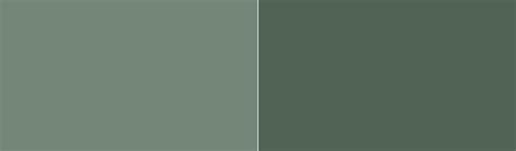 Discover The Xanadu Color And How To Integrate It Into Your Designs