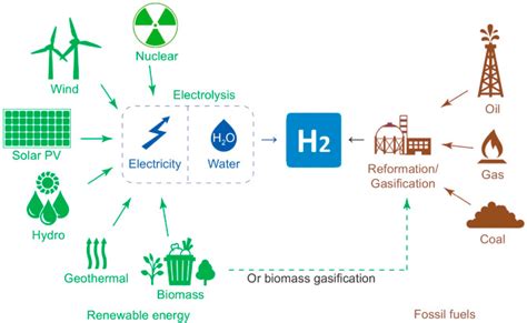Implementing Densenet 121 In Pytorch A Step By Step Guide By Shuvam