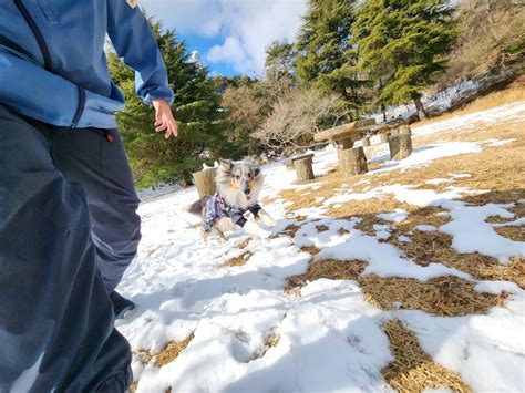 犬と行く《多度山》 【犬と登山】zarara Special🐶さんの多度山・美濃松山・石津御嶽の活動データ Yamap ヤマップ