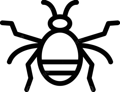 Insect Fly Web Bug Vector Fly Web Bug PNG And Vector With