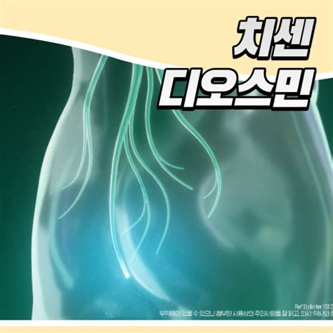 치센 먹는 치질약 추천 디오스민 원인 증세 네이버 블로그