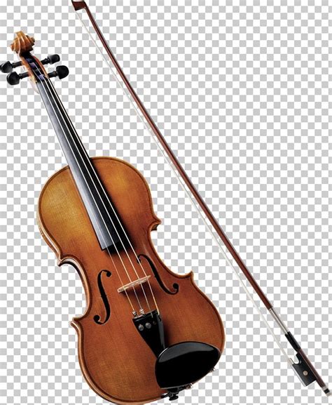 Violin Musical Instruments String Quartet Orchestra Png Clipart Bass