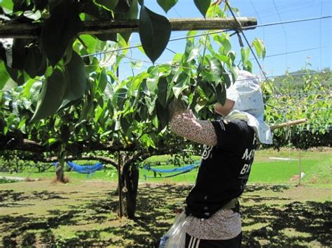 飯田市の就農関連情報 デジタル農活信州