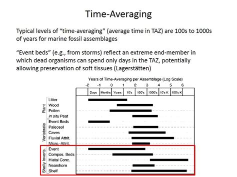 Taphonomy Time Averaging YouTube