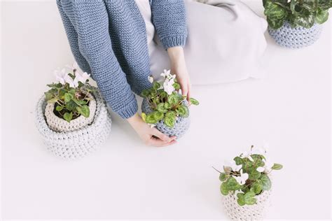 Indoor Plants Health Benefits