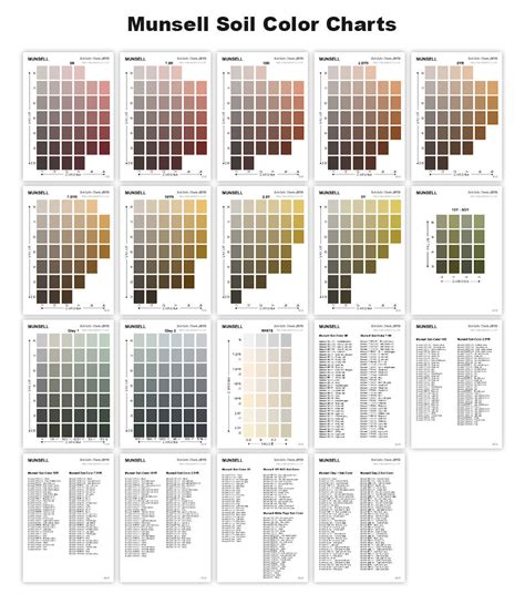 Munsell Soil Color Chart Pdf The Best Porn Website