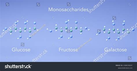 Monosaccharide Glucose Fructose Galactose Molecular Structures Stock
