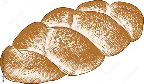 PNG Engraved Style Illustration For Posters Decoration Logo And Print