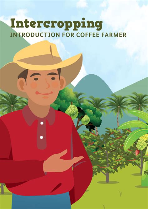 Intercropping Introduction For Coffee Farmer