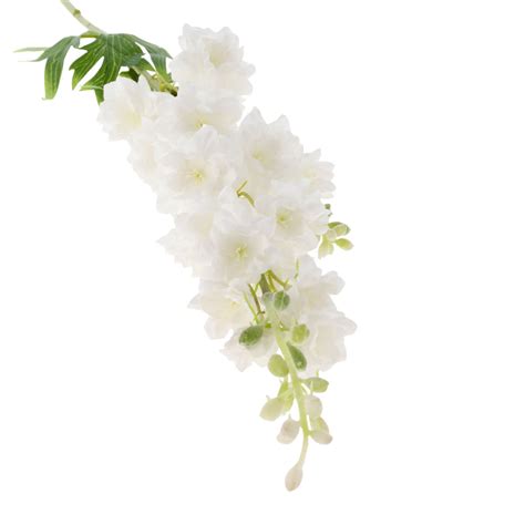 Flor Delphinium Real Plaza