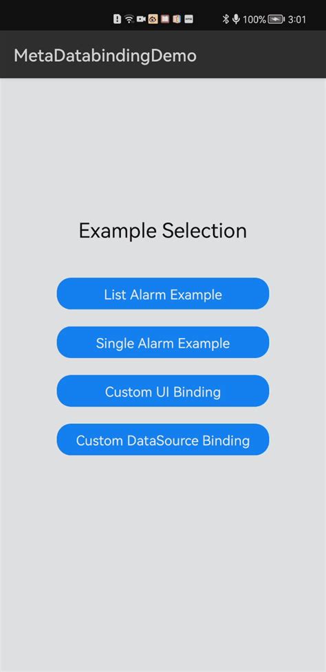 Metadata Binding Framework
