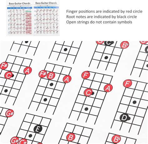 Bass Chord Chart With Beginner Guide Bassox Atelier Yuwaciaojp