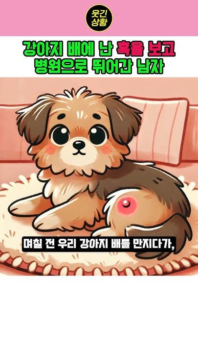 강아지 배에 난 혹을 보고 병원으로 뛰어간 남자 Youtube