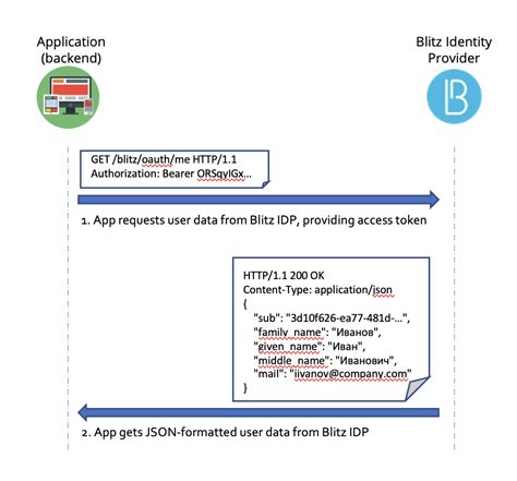 Connecting A Web Application — Blitz Identity Provider 5 21 Documentation