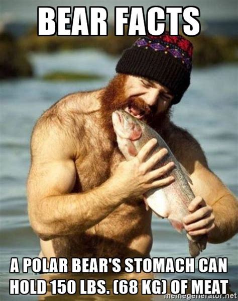 Bear Fact Album On Imgur