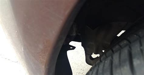 Bumper Issue Album On Imgur