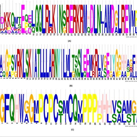 Motifs A B And C In The Bhlh Domain Are Shown Download