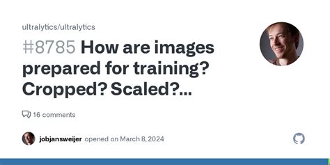 How Are Images Prepared For Training Cropped Scaled Keeping Aspect