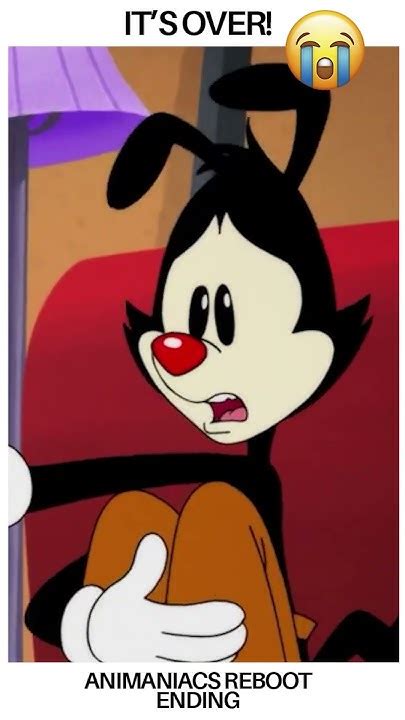 Why The Animaniacs Reboot Is Ending After 3 Seasons Youtube