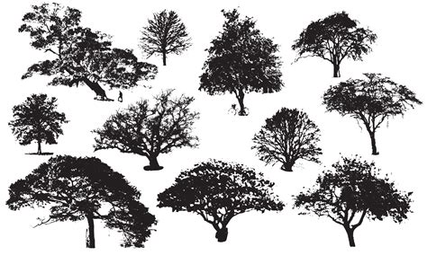 Black And White Tree Vector Art Icons And Graphics For Free Download