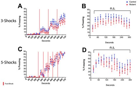 Contextual Fear Conditioning Is Not Disrupted In Mec Iii Tetx Mice