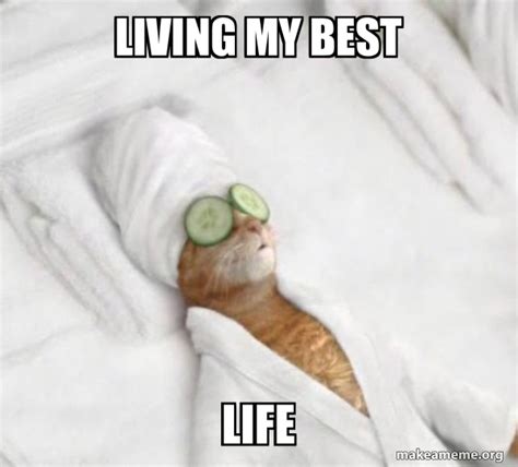 Living My Best Life Pampered Cat Meme Meme Generator
