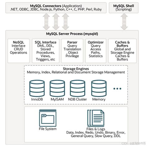 Mysql 的基础架构以及常见的存储引擎 Csdn博客