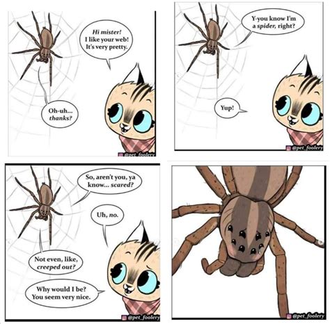 Spider R Sympatheticmonsters